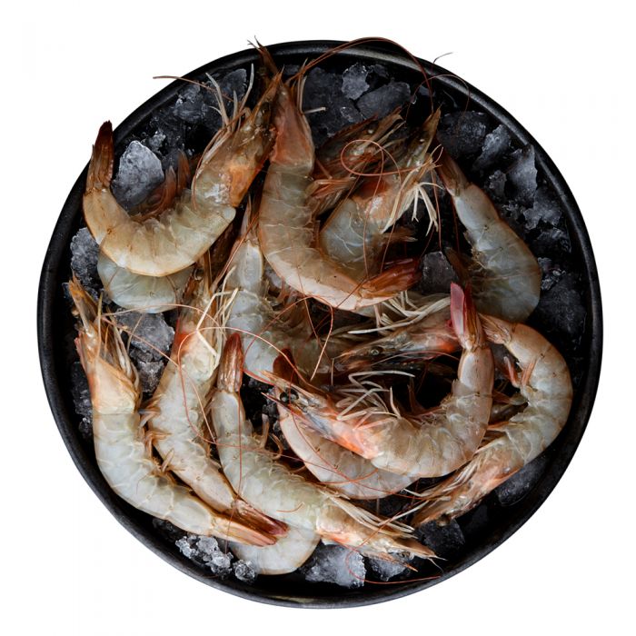 Prawns White Med
