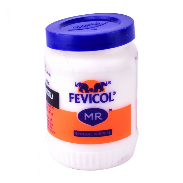 Fevicol MR 100gm
